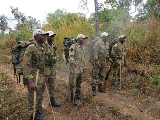 Elefence Photos – Elefence International, Inc.